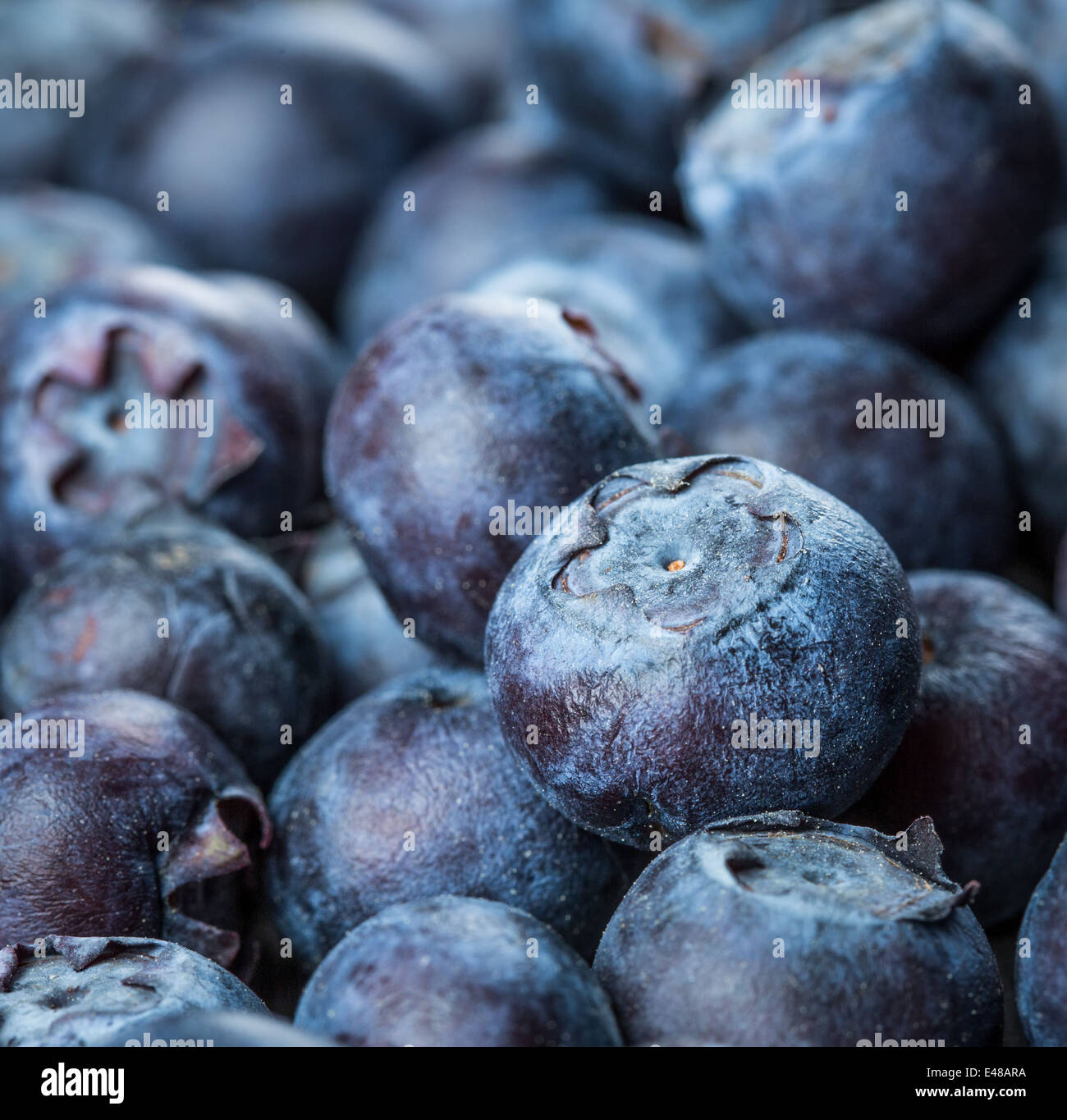 Fresh Berries - Blueberries background closeup Stock Photo - Alamy