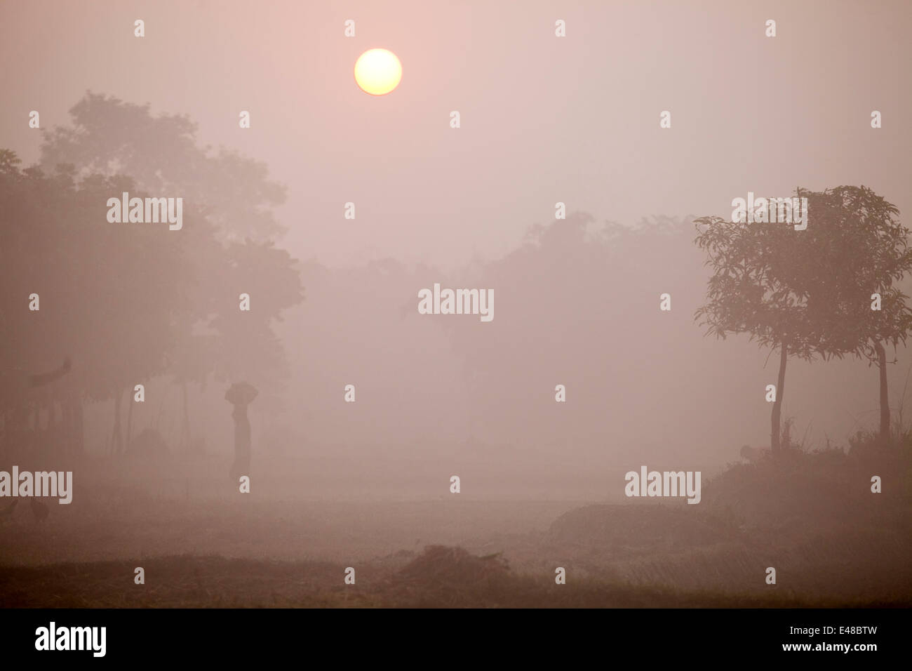 winter in Bangladesh Stock Photo - Alamy