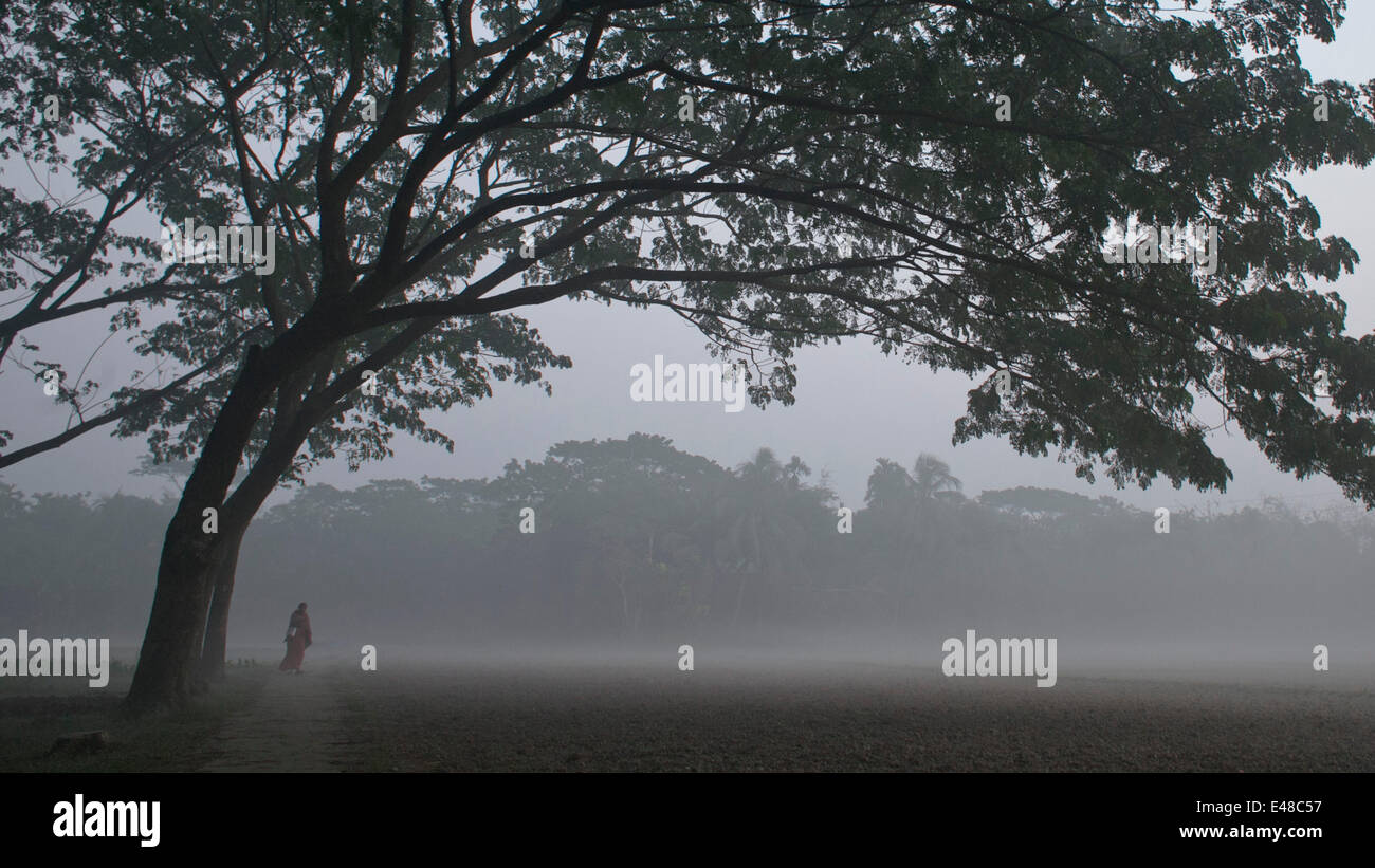 winter in Bangladesh Stock Photo - Alamy