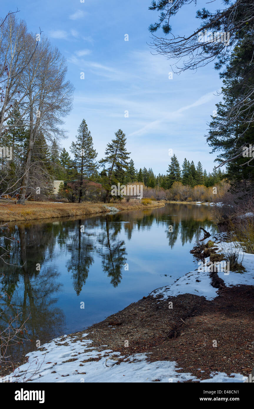 A tree-lined river from Lake Tahoe, California, USA with melting now in ...