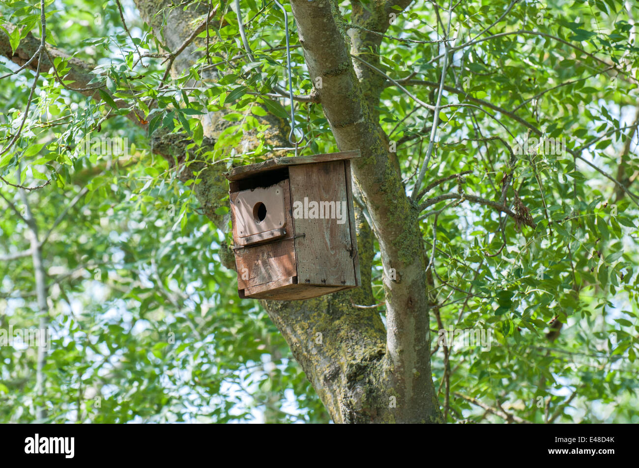 wooden nest for young birds Stock Photo - Alamy