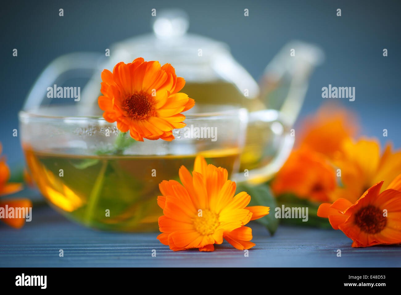 Calendula tea in a cup Stock Photo - Alamy