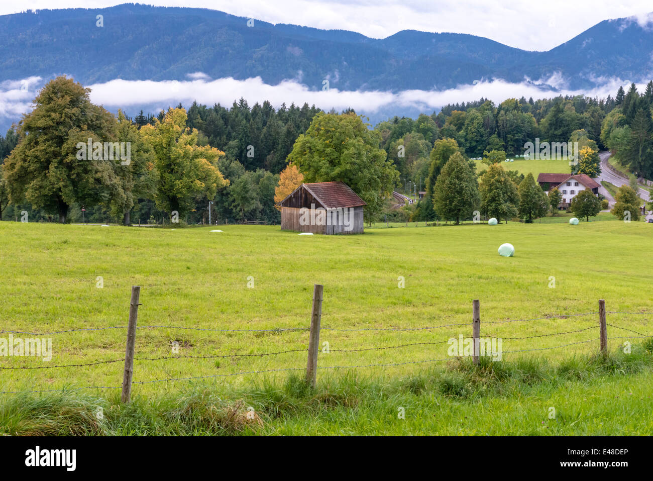A beautiful alpine field in Bavaria, southern Germany Stock Photo - Alamy