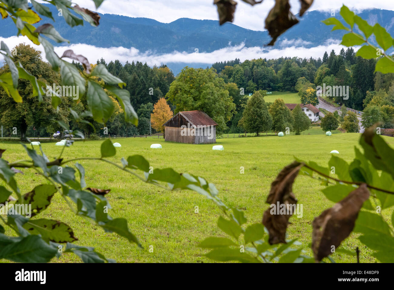 A beautiful alpine field in Bavaria, southern Germany Stock Photo - Alamy