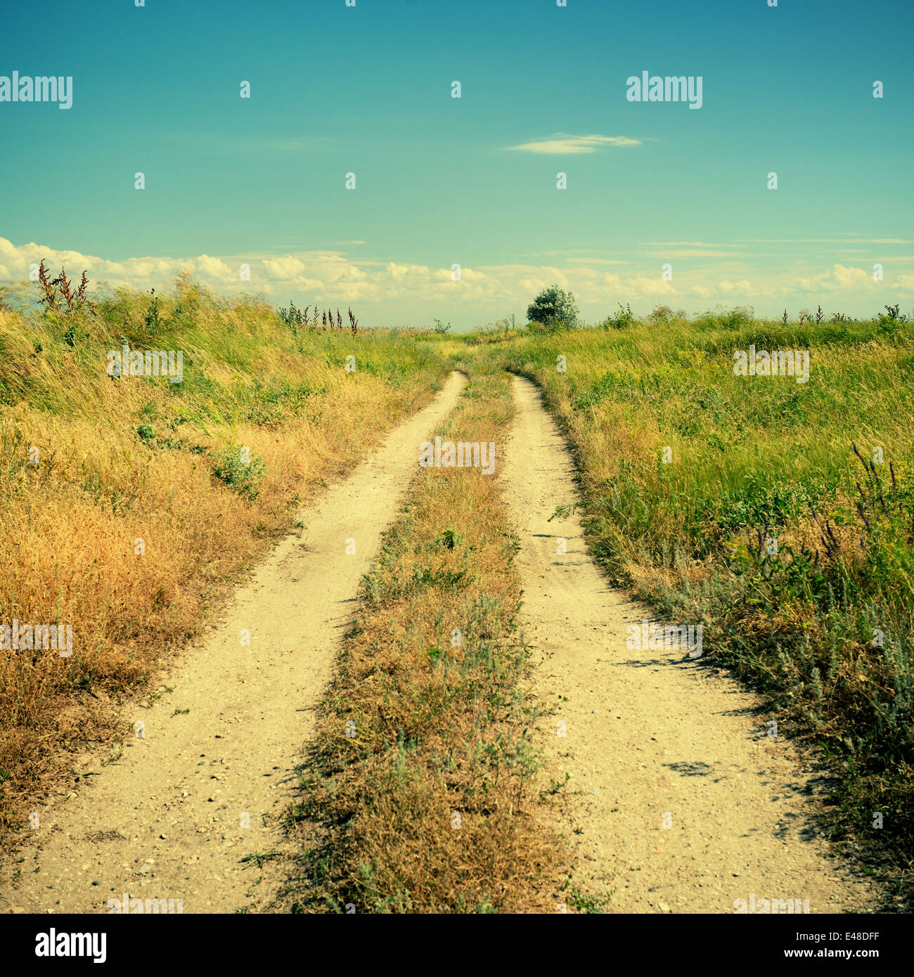 Summer landscape with country road in retro style Stock Photo - Alamy