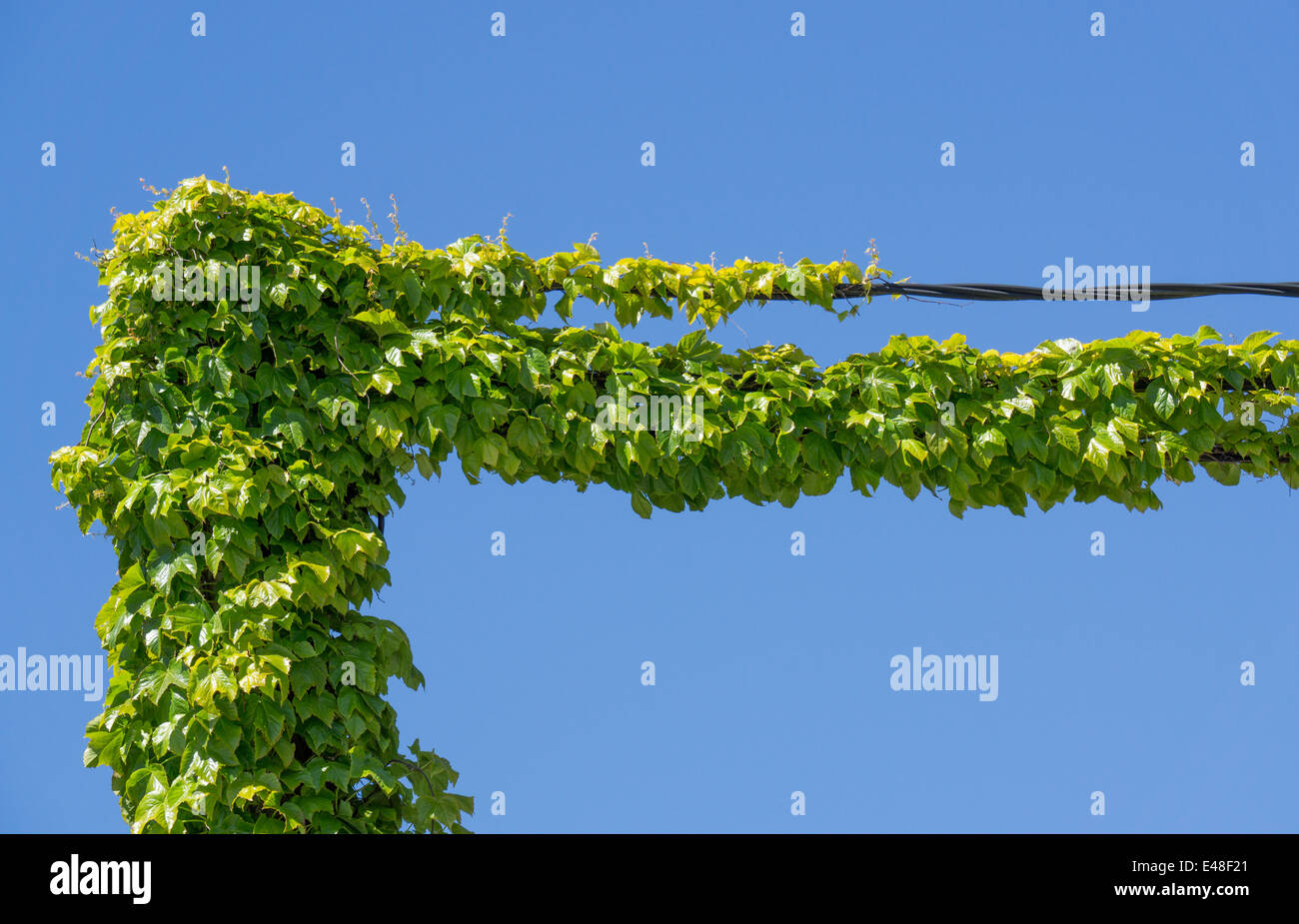 Cable protection hi-res stock photography and images - Alamy