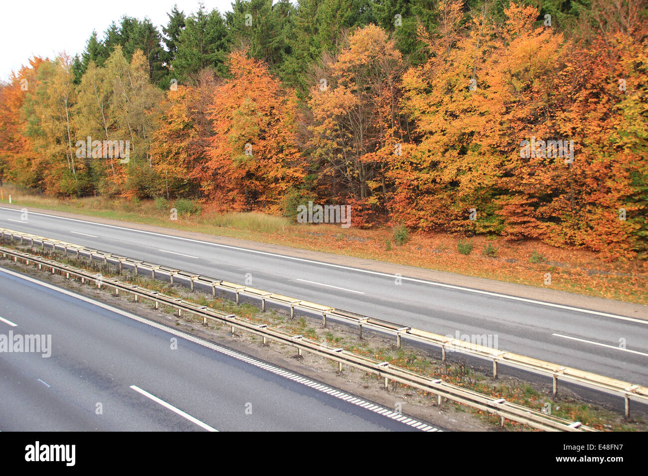 Empty highway through autumn forest with beautiful colors Stock Photo ...