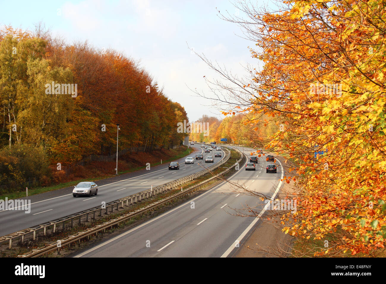 Busy highway through autumn forest with beautiful colors Stock Photo ...