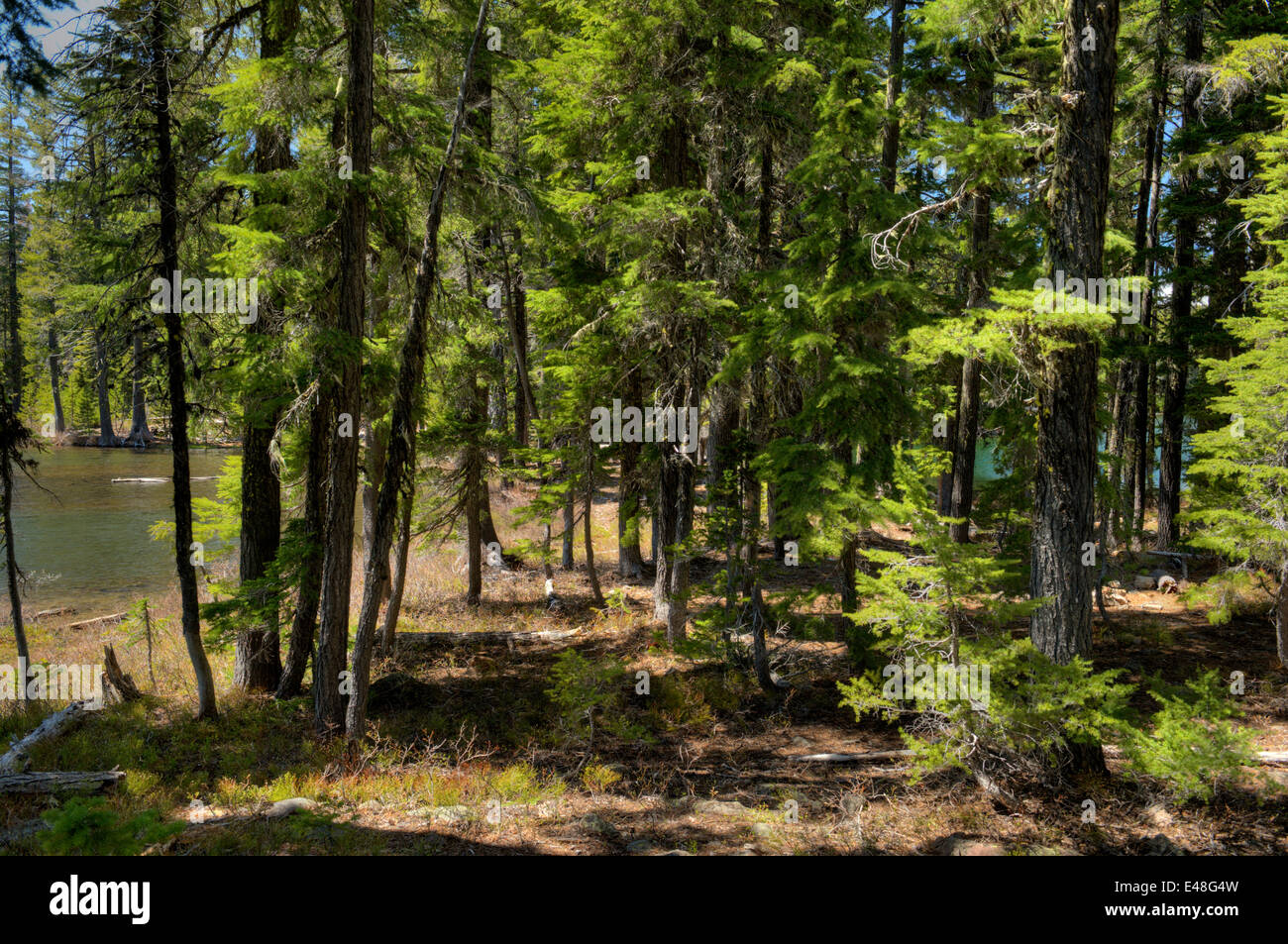 The Heavenly Twin Lakes in Oregon's Sky Lakes Wilderness. The southern ...