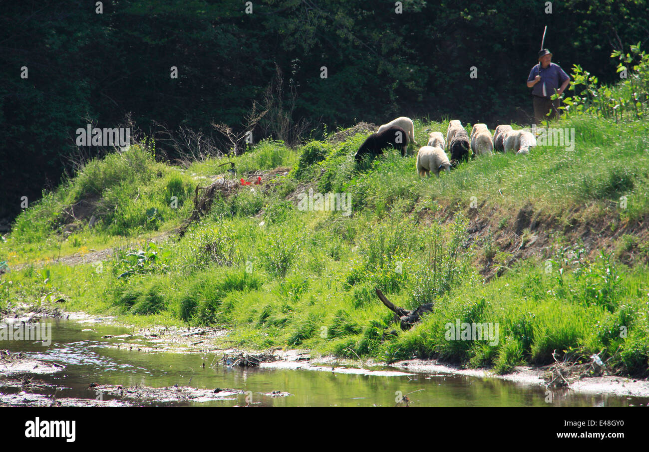 Keeper of sheeps hi-res stock photography and images - Alamy