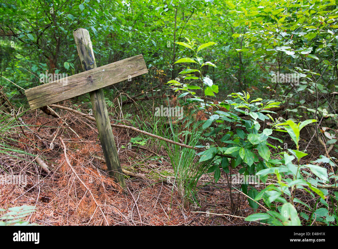 Simple wooden cross on nature grave in the forest Stock Photo - Alamy