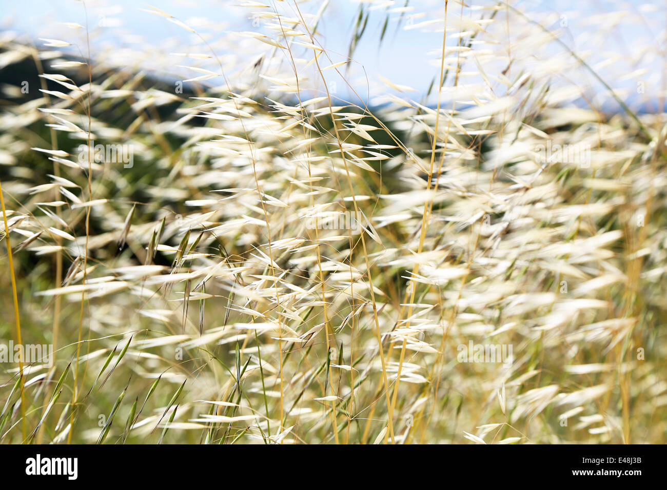 Highway and grass hi-res stock photography and images - Alamy