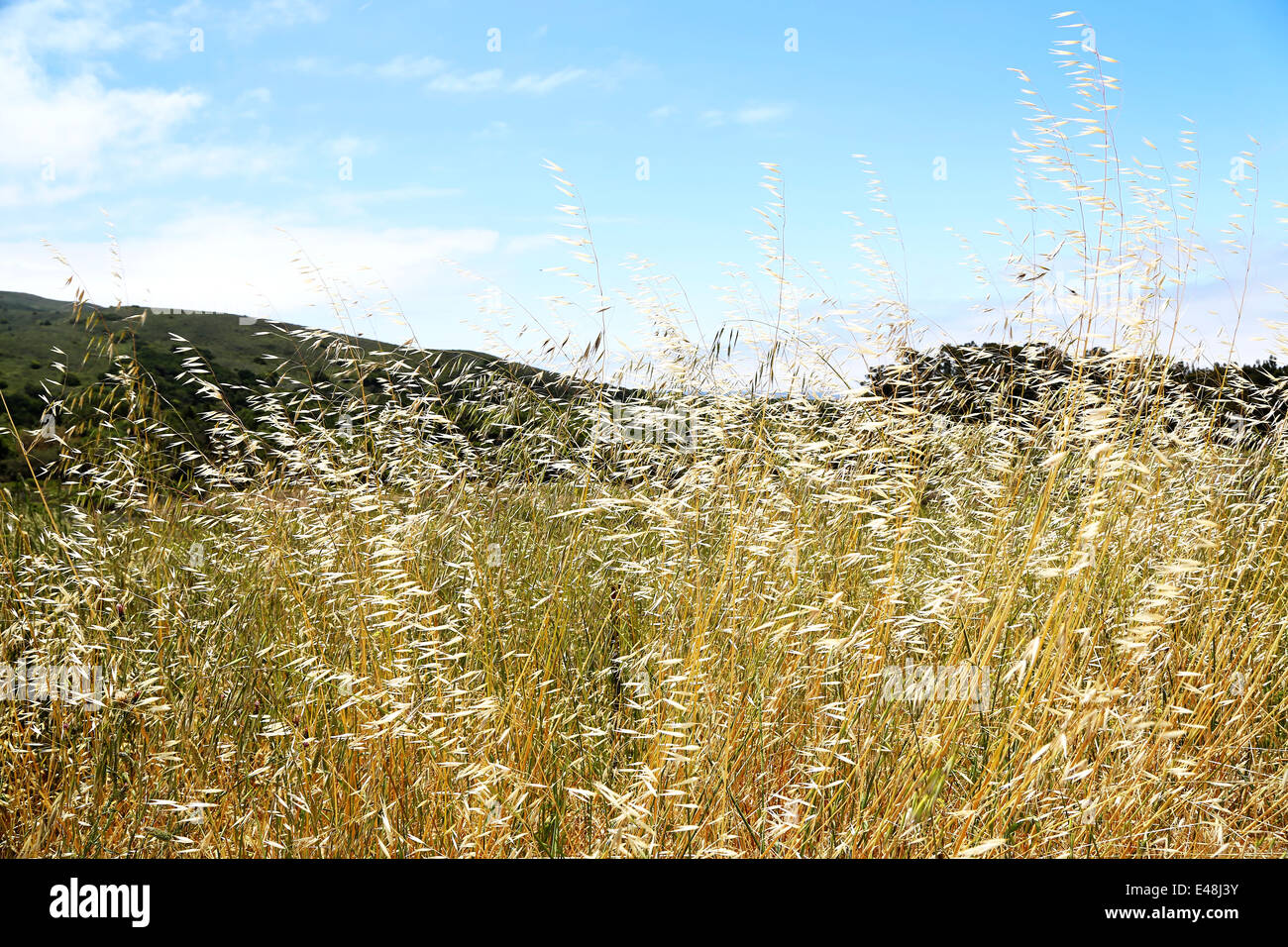 Highway and grass hi-res stock photography and images - Alamy