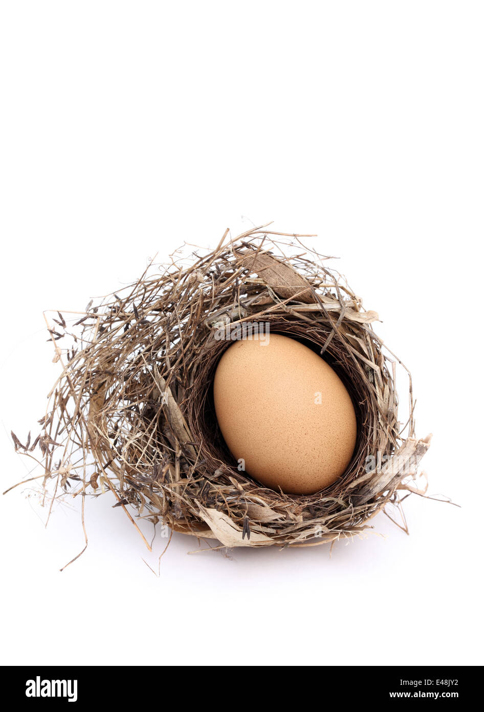Chicken egg nest hi-res stock photography and images - Alamy