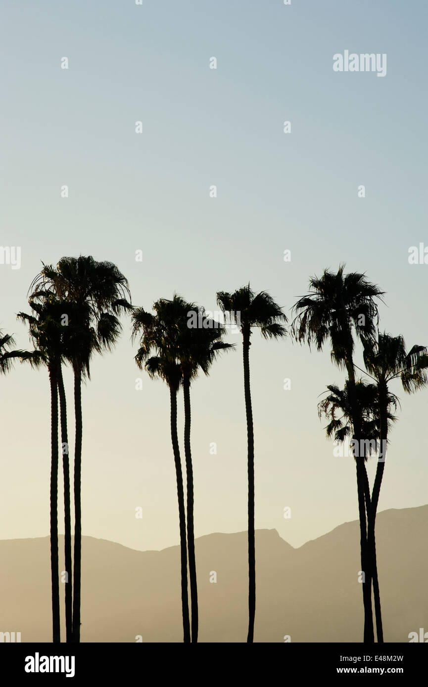 Palm trees coastal mountains hi-res stock photography and images - Alamy