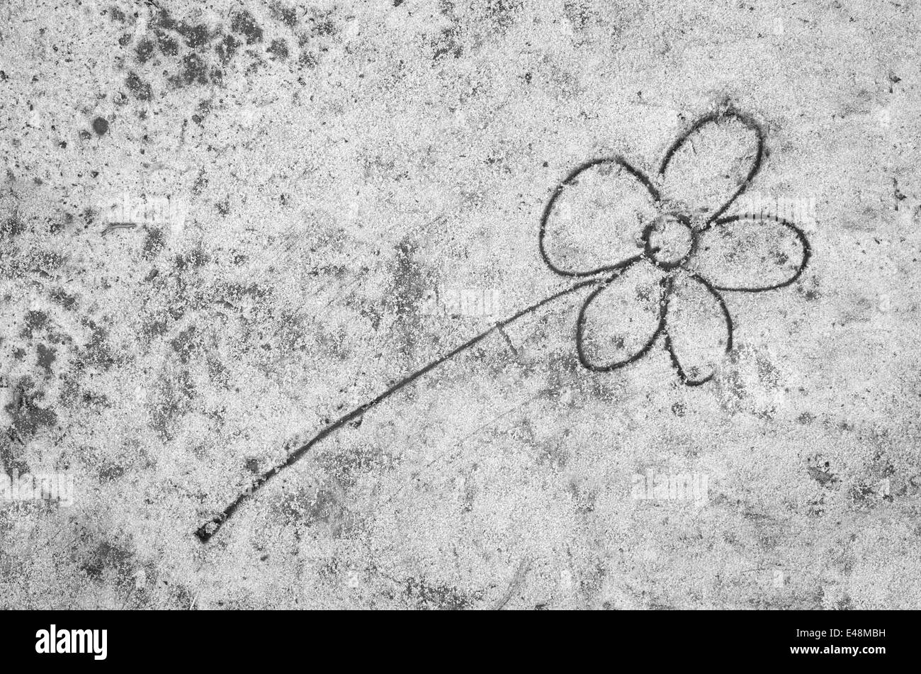 closeup to flower sketche on sand background Stock Photo - Alamy