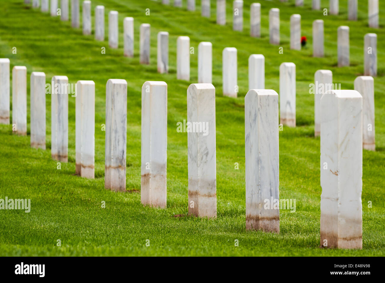 rows of tombstones in a military graveyard with bright green spring ...