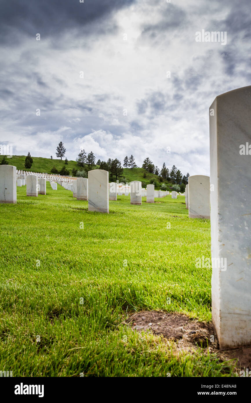 rows of tombstones in a military graveyard with bright green spring ...