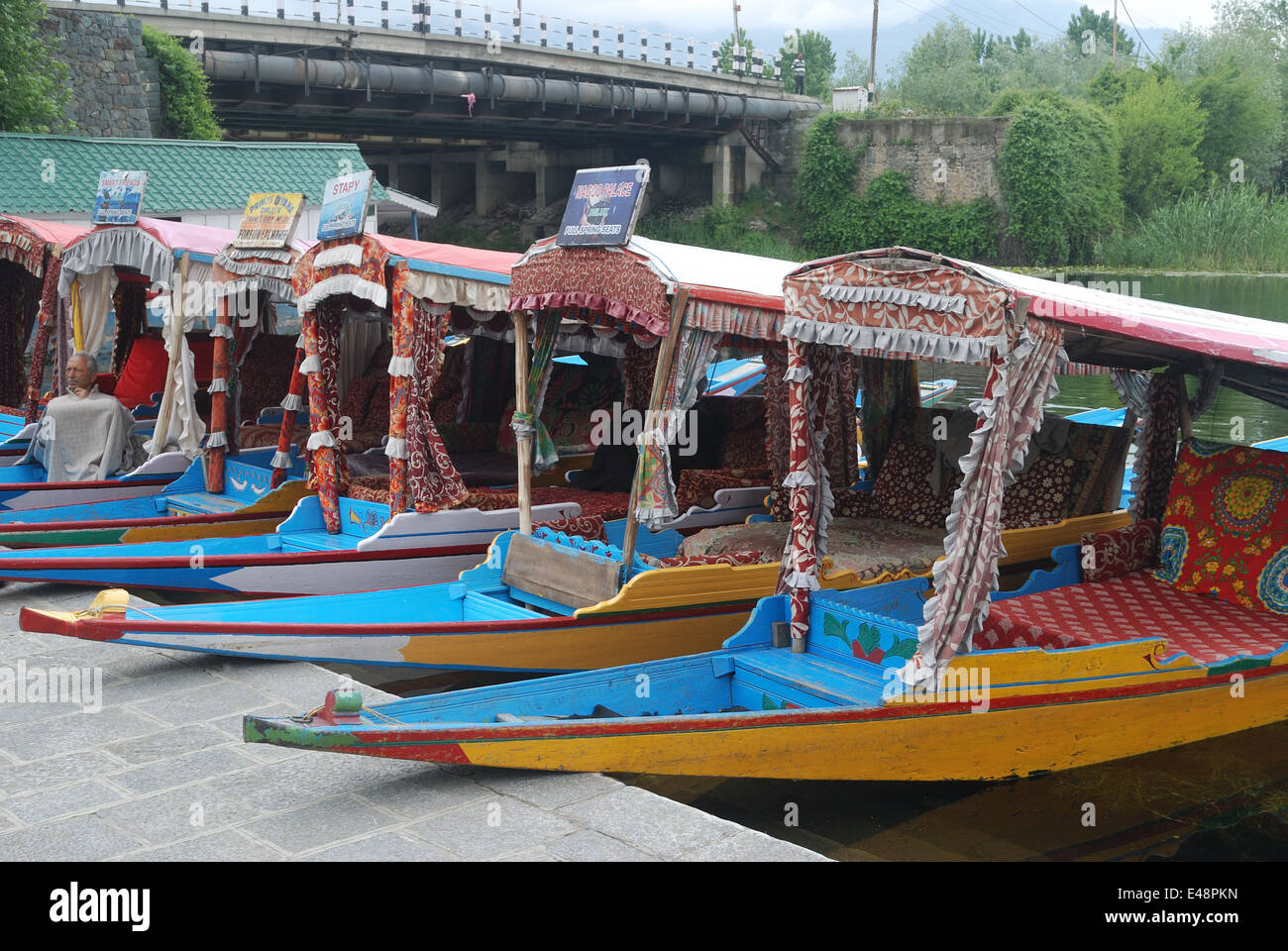 shikara at dal lake,srinagar,kashmir,india Stock Photo - Alamy