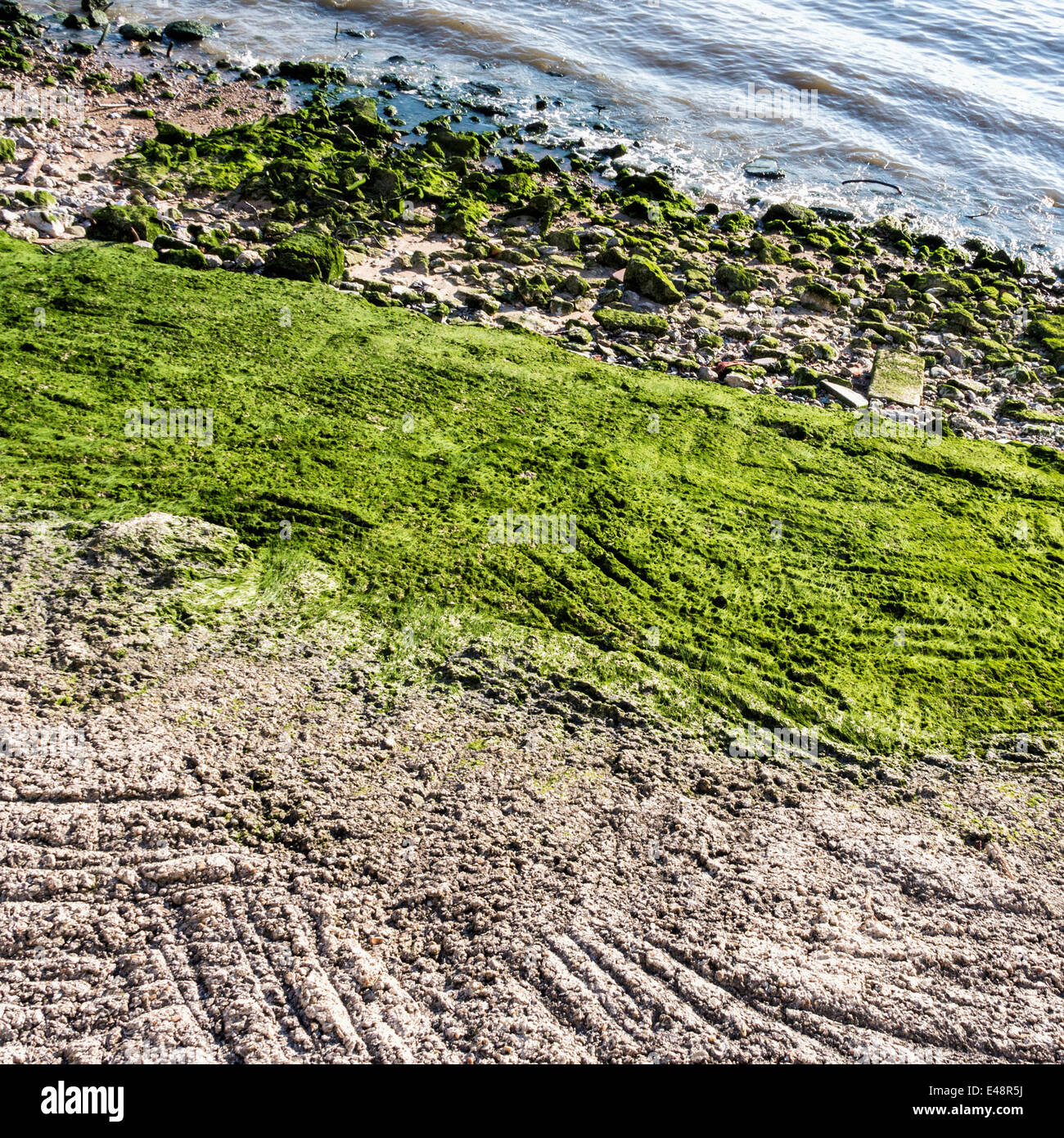 Pebbles moss water hi-res stock photography and images - Alamy
