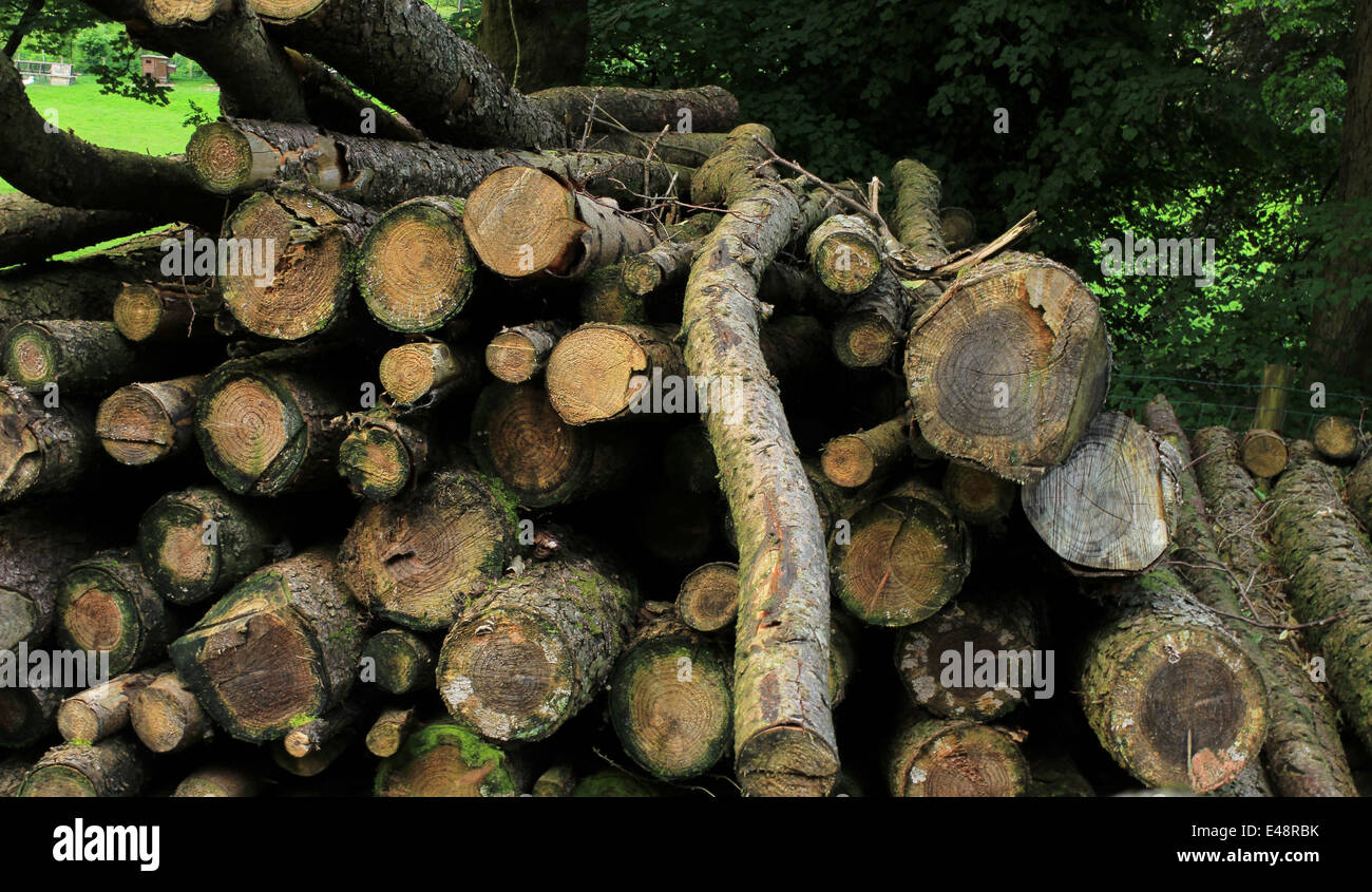 Log fires hi-res stock photography and images - Alamy