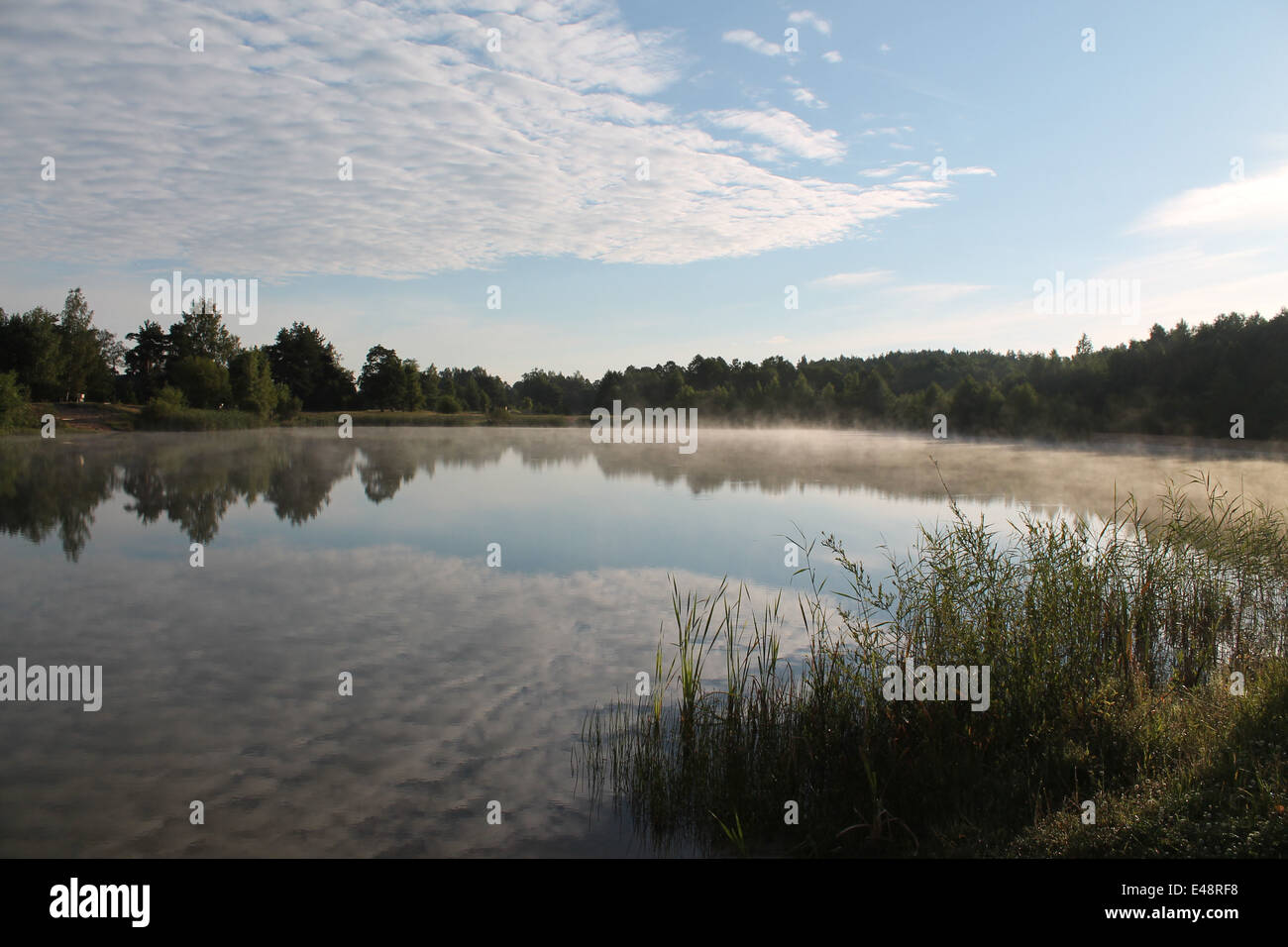 Mist covering forest hi-res stock photography and images - Alamy