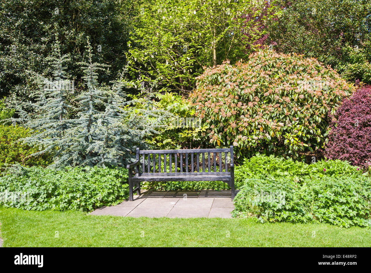 Wooden park bench set in beautiful landscaped gardens in outdoor ...