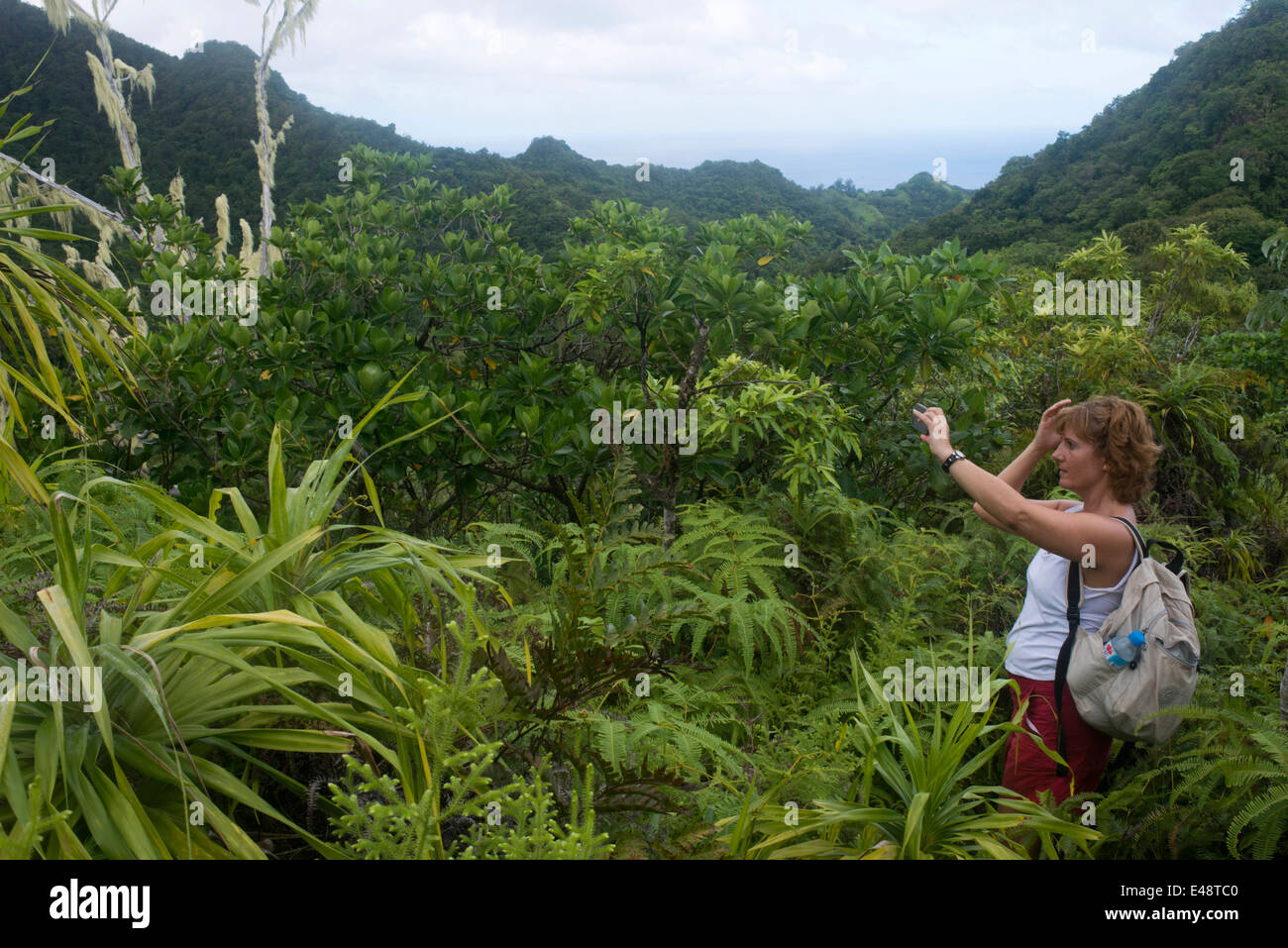 Rarotonga Island. Cook Island. Polynesia. South Pacific Ocean. A ...