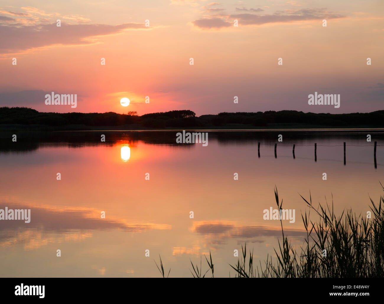 Kenfig nature hi-res stock photography and images - Alamy