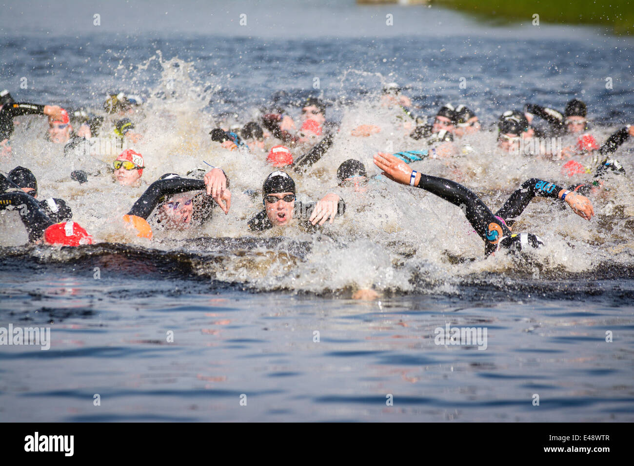 Vansbrosimningen 2014, first race Stock Photo - Alamy