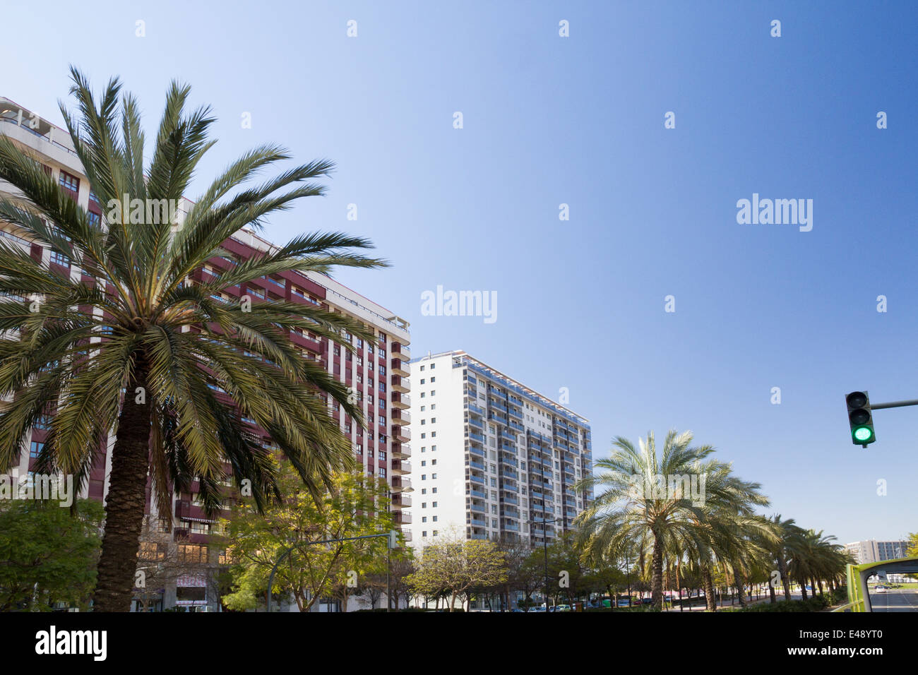 Palm-tree lined street or avenue in Valencia Spain Stock Photo - Alamy