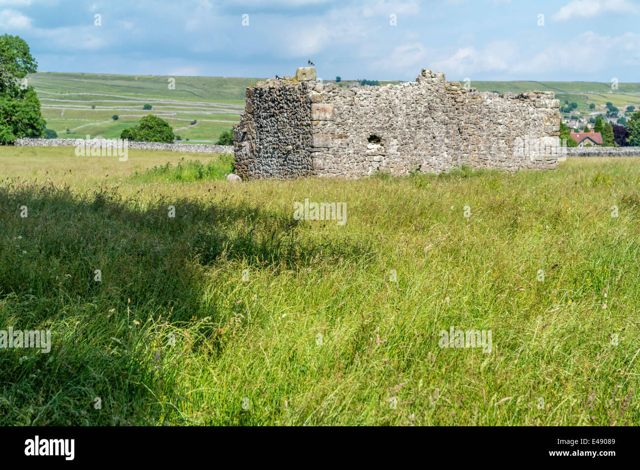 Abandoned Barn in a field Stock Photo - Alamy