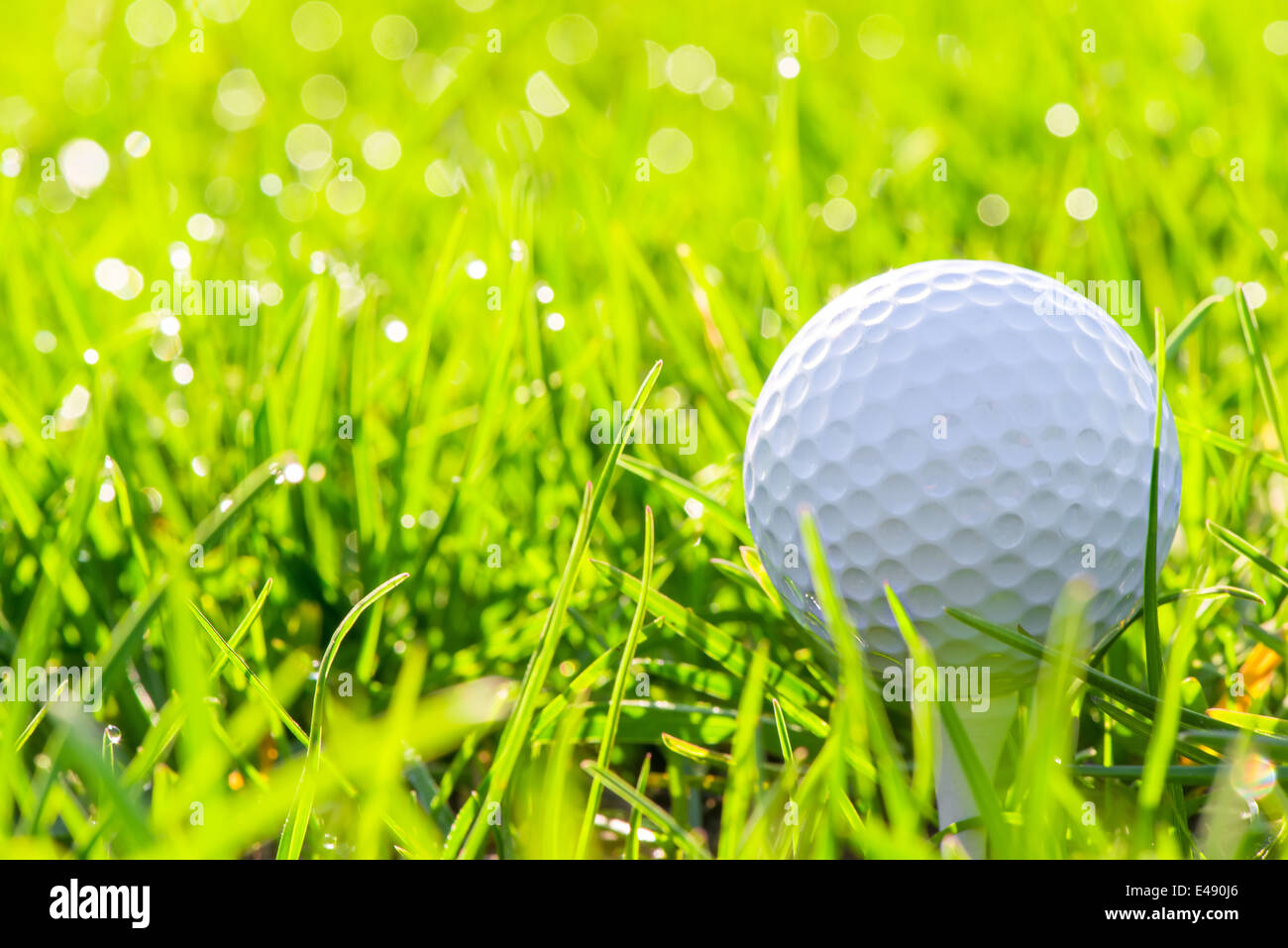 macro of a golf ball in green grass Stock Photo - Alamy