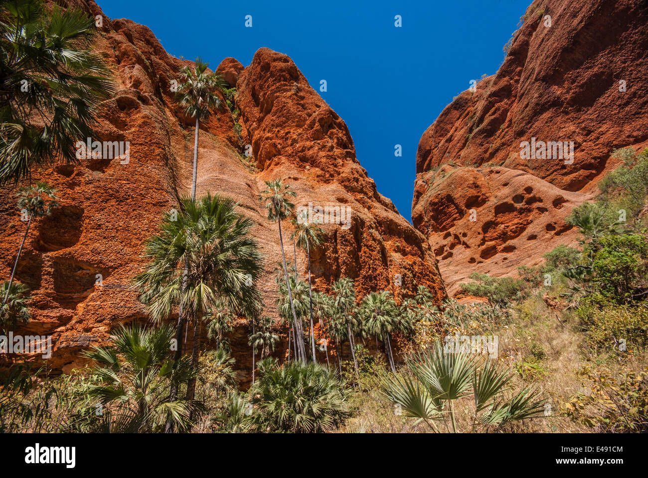 ECHIDNA CHASM, BUNGLE, BUNGLES, PURNULULU, NATIONAL, PARK, KIMBERLEY ...