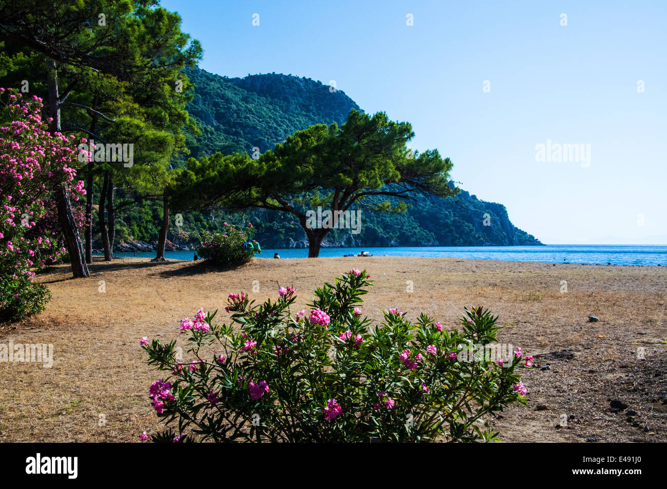 Iztuzu Plaji (Turtle beach) Dalyan, Turkey Stock Photo - Alamy