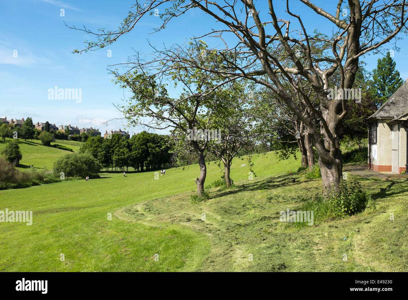Summer in the Braidburn Valley Park, Edinburgh, Scotland Stock Photo ...
