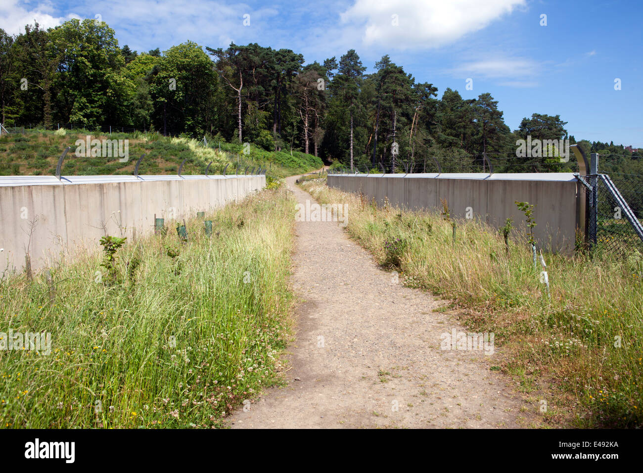 Miss James' Bridge, an environmental bridge over the A3 at the southern ...