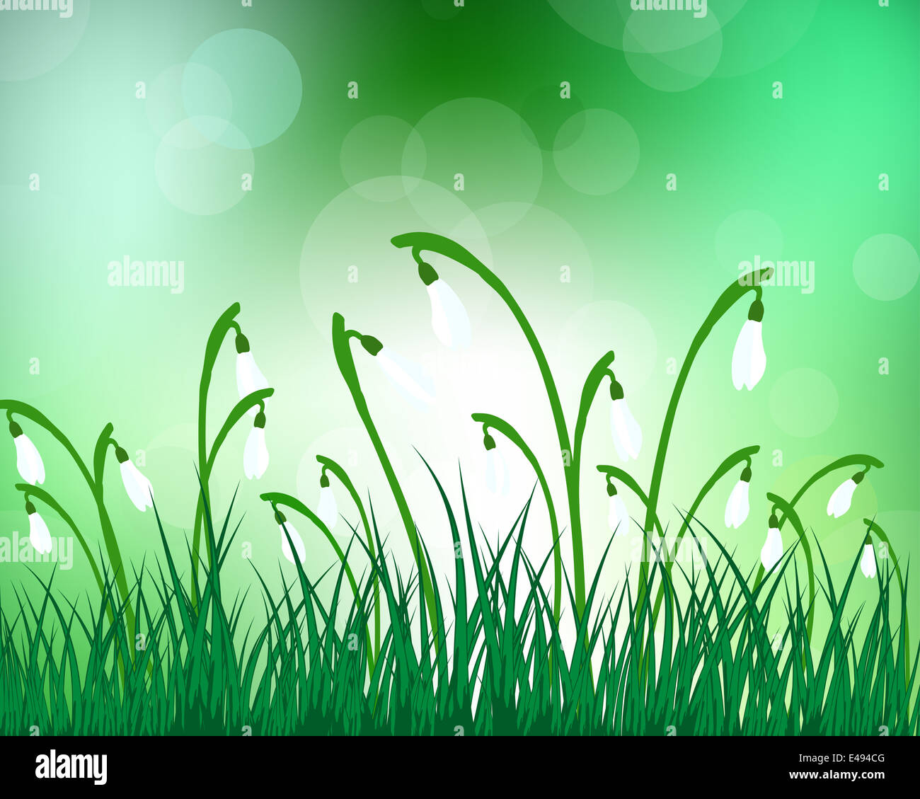 Summer meadow background with snowdrops. EPS 10 vector illustration ...