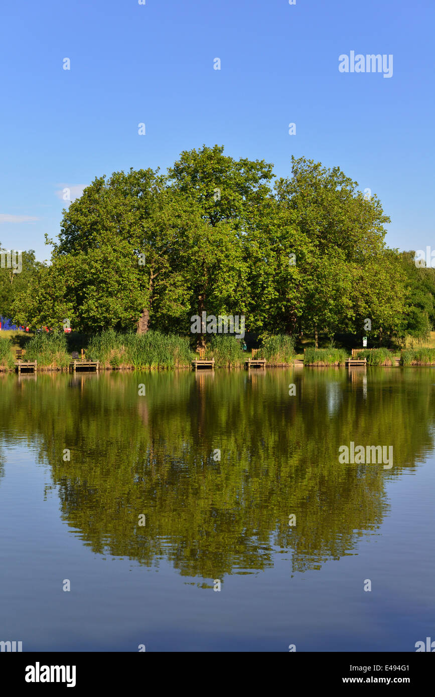 Pond kingdom hi-res stock photography and images - Alamy