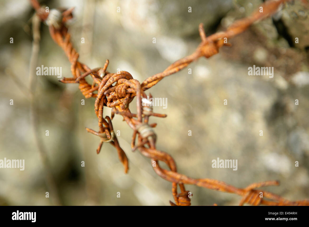 Tangled barbed wire hi-res stock photography and images - Alamy