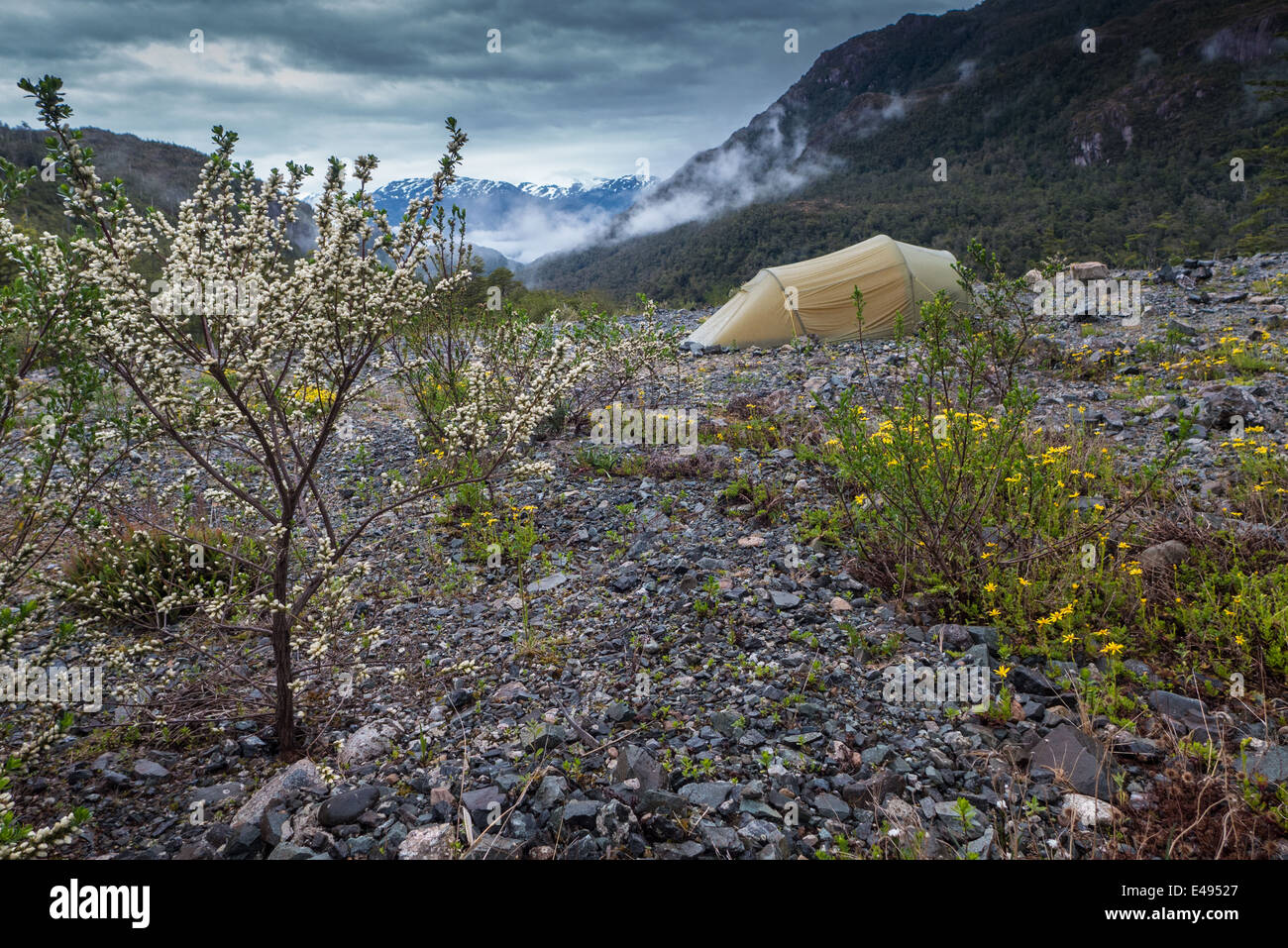 Camping in the rain by Carretera Austral, Chile Stock Photo - Alamy