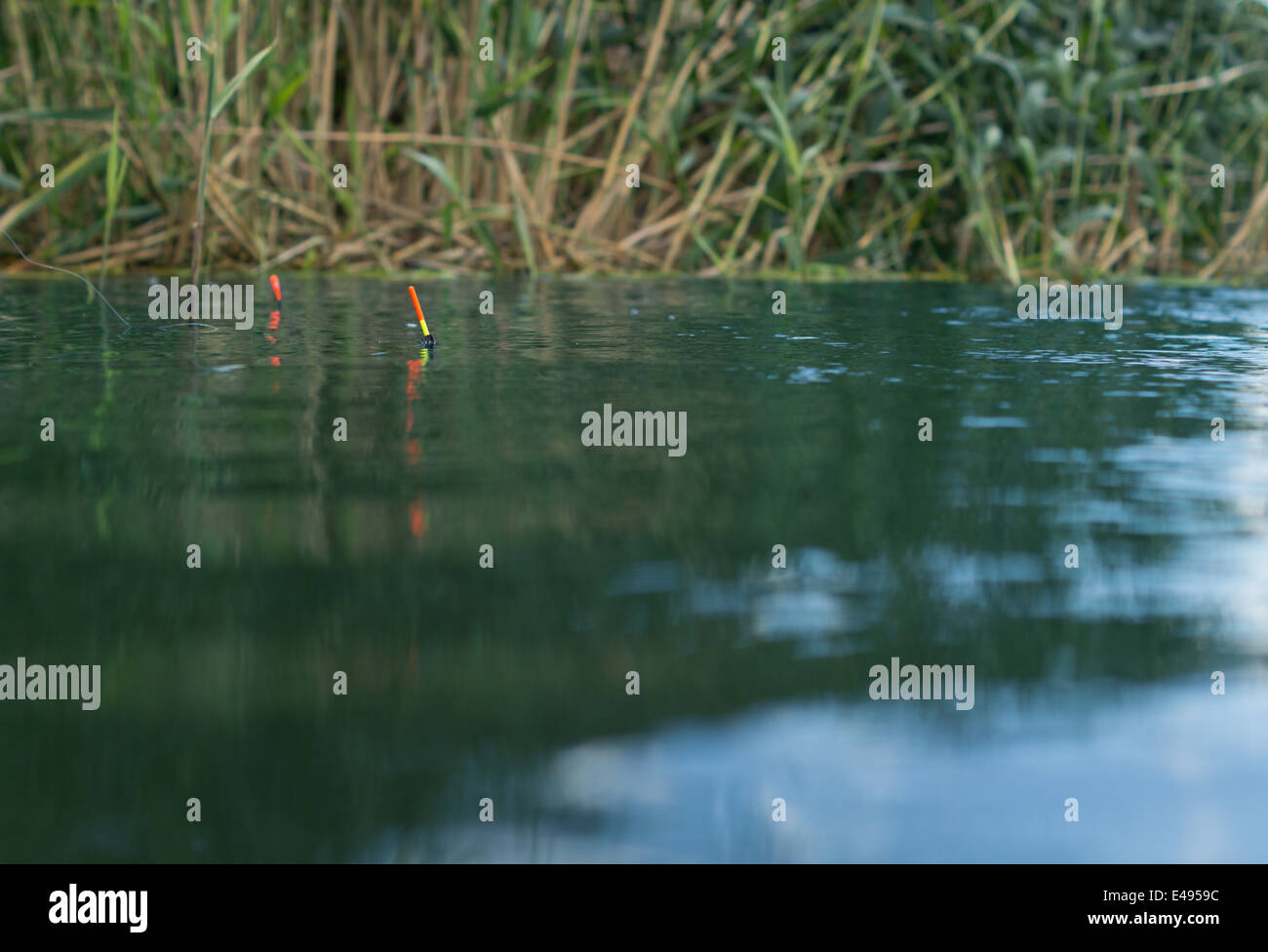 Two small fishing floats in the water at daytime Stock Photo - Alamy