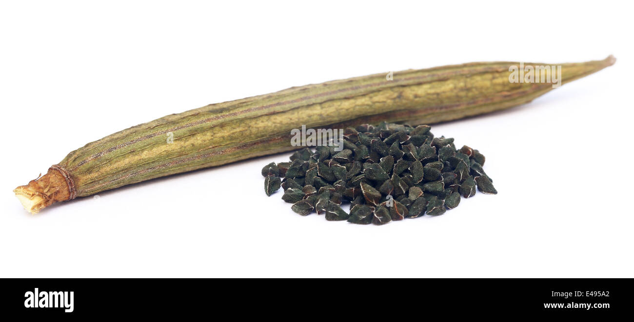 Jute seeds over white background Stock Photo - Alamy