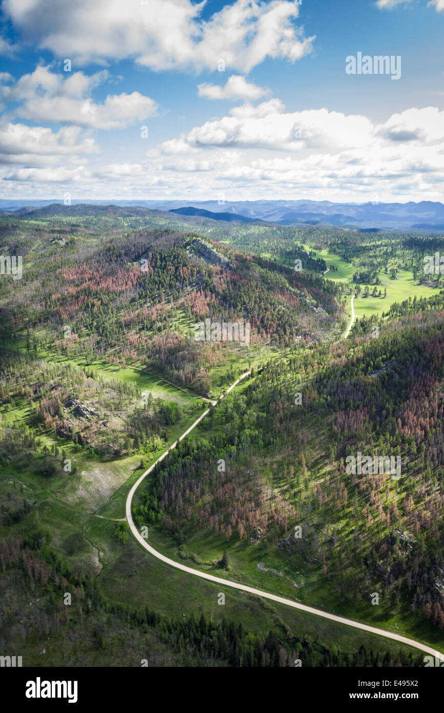 aerial view of the black hills of South Dakota in springtime Stock ...