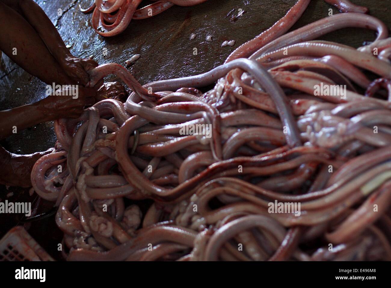 Snake meat hi-res stock photography and images - Alamy