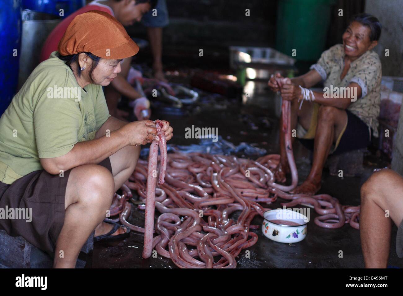 Snake meat hi-res stock photography and images - Alamy
