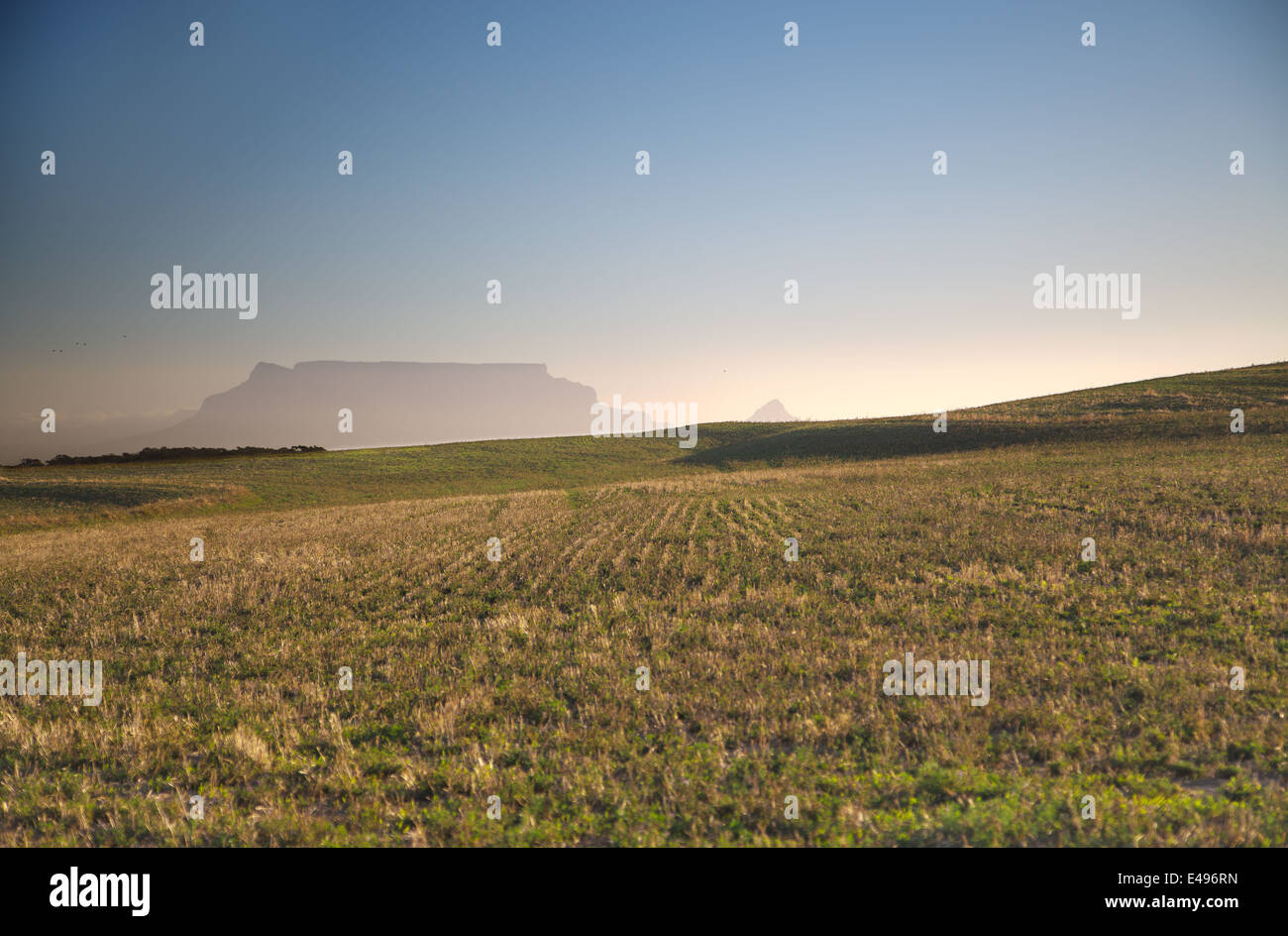 Table Mountain, a prominent landmark, with peaceful green pastures in ...