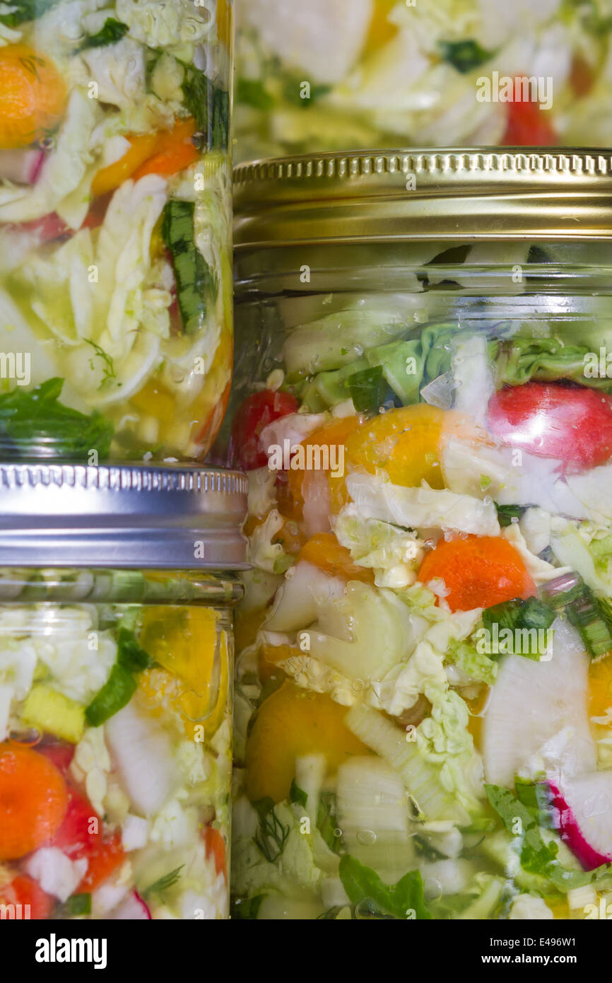 home made cultured or fermented vegetables in glass jars Stock Photo ...