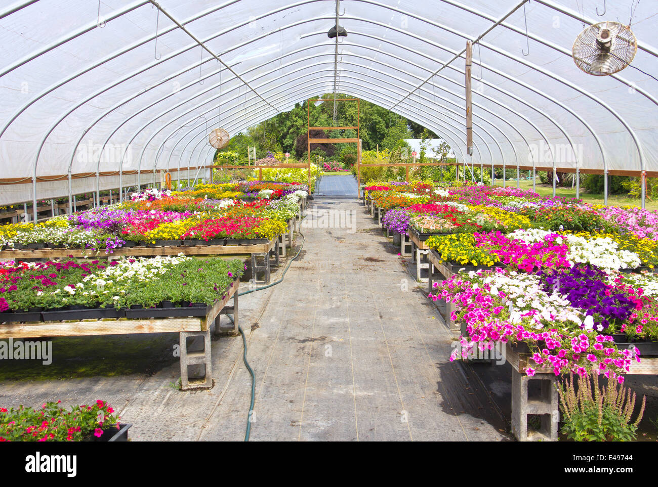 Outdoor nursery and canopies Willamette valley Oregon Stock Photo - Alamy