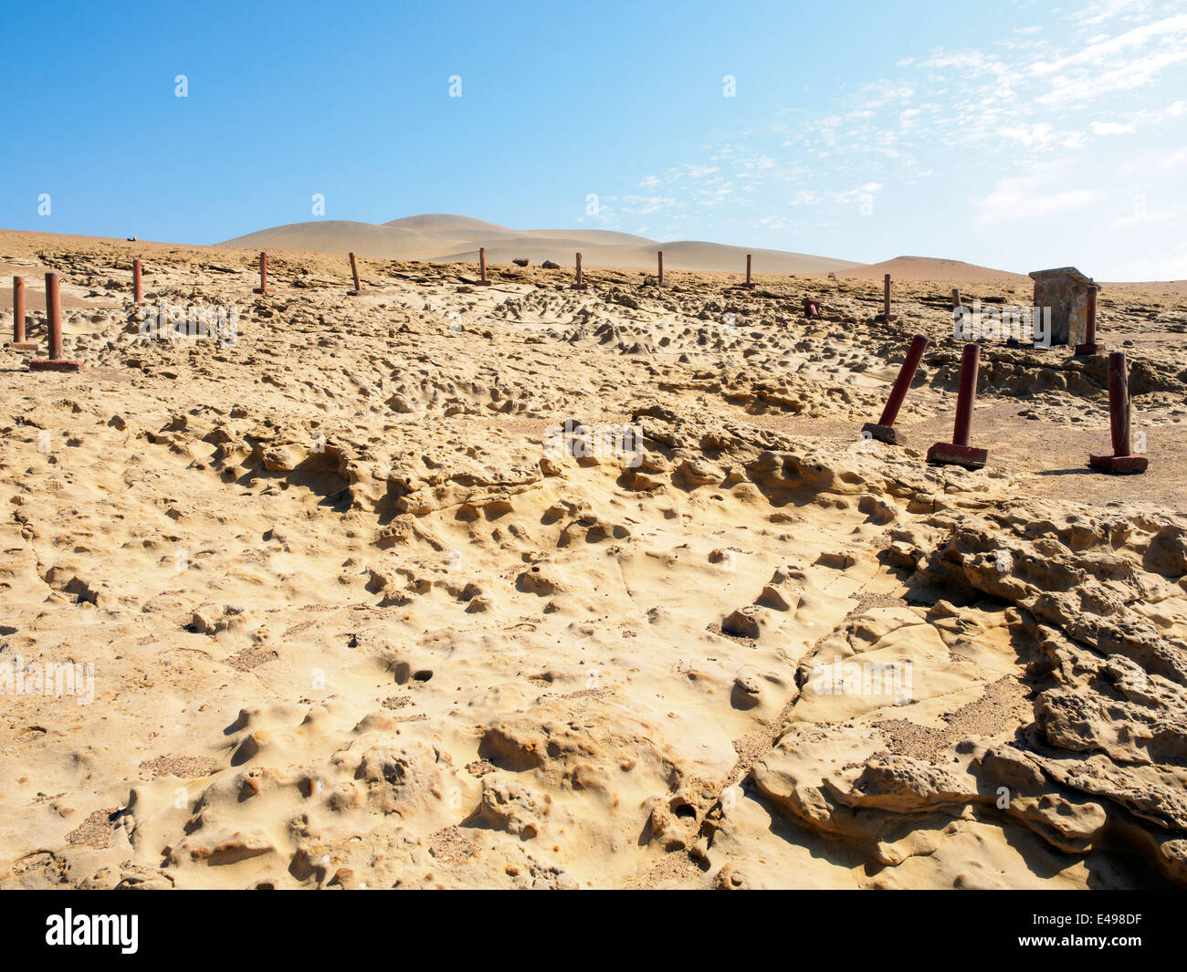 Paracas hi-res stock photography and images - Alamy